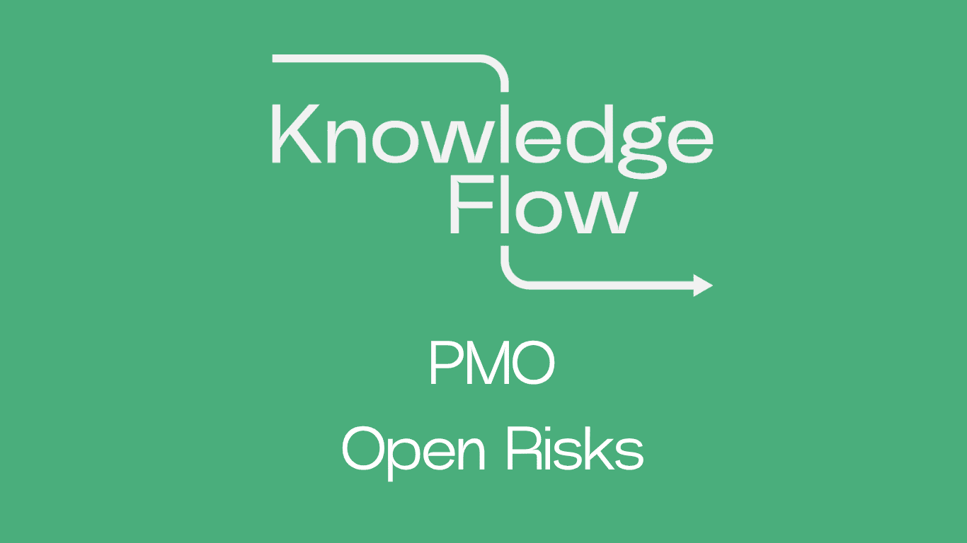 Demo Video - PMO Open Risks - Leading AI